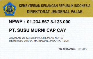 Mengenal Lebih Jauh Apa Itu NPWP Dan Syarat Bikin NPWP