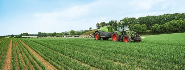 Tips Memulai Usaha Agribisnis yang Sukses dan Menguntungkan