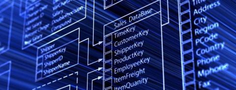 DBMS Adalah: Pengertian, Fungsi, Jenis, dan Kelebihan Kekurangannya