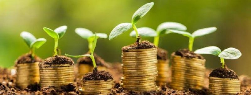 Bunga Bank Adalah: Ini Definisi, Jenis, Fungsi, Serta Manfaatnya ...